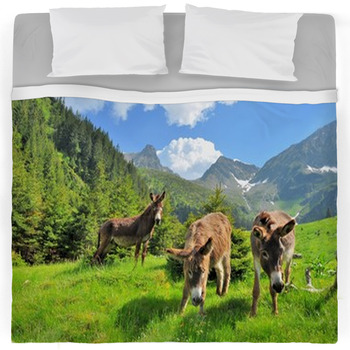 Donkey Bedding | Comforters, Duvet Covers, Sheets & Bed Sets | Custom