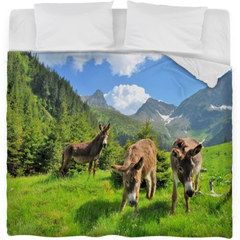 Donkey Comforters, Duvets, Sheets & Sets | Personalized