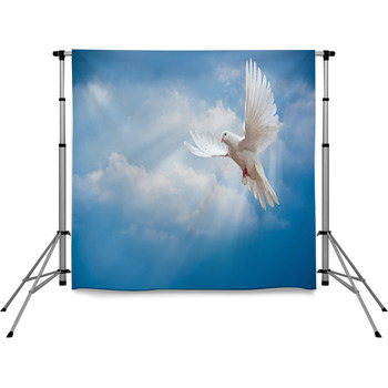 Dove Photo Backdrops | Available in Super Large Custom Sizes