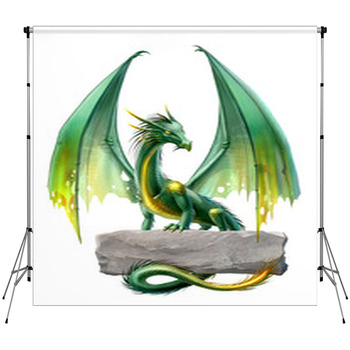 Dragon Photographer Backdrops | Available in Ultra Large Custom Sizes