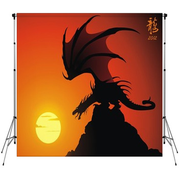 Dragon Photographer Backdrops | Available in Ultra Large Custom Sizes