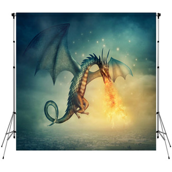 Dragon Photographer Backdrops | Available in Ultra Large Custom Sizes