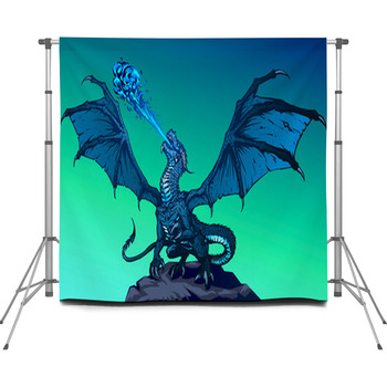 Dragon Photographer Backdrops | Available in Ultra Large Custom Sizes