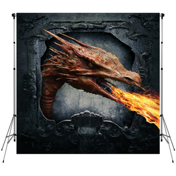 Dragon Photographer Backdrops | Available in Ultra Large Custom Sizes