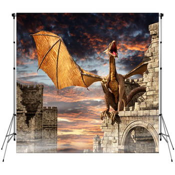 Dragon Photographer Backdrops | Available in Ultra Large Custom Sizes