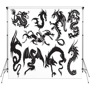 Dragon Photographer Backdrops | Available in Ultra Large Custom Sizes