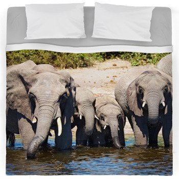 Elephant Comforters, Duvets, Sheets & Sets | Personalized