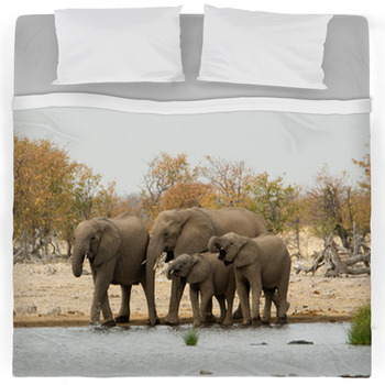 Elephant Comforters, Duvets, Sheets & Sets | Personalized