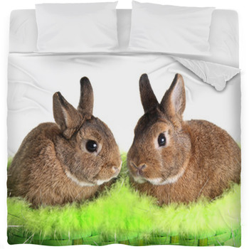 Bunny Fleece Blanket Throws | Free Personalization