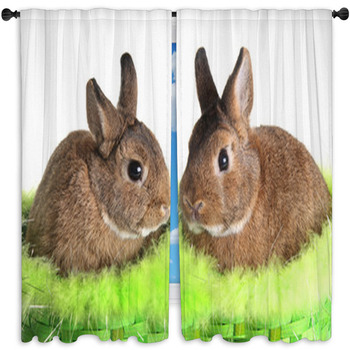 Bunny Window Curtains & Drapes | Black Out | Custom Sizes