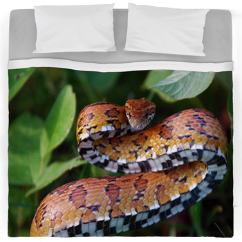 Snake Comforters, Duvets, Sheets & Sets | Custom