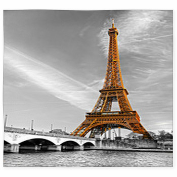 Paris Area Rugs & Floor Mats