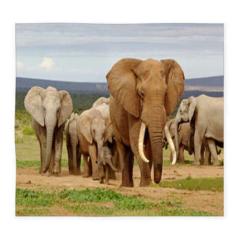 Elephant Rugs & Floor Mats