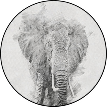 Elephant Area Rugs & Custom Size Floor Mats