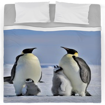 Penguin Comforters, Duvets, Sheets & Sets | Custom