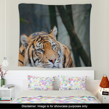Tiger Wall Decor | Murals | Tapestry | Posters | Custom Sizes