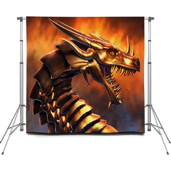Dragon Photographer Backdrops | Available in Ultra Large Custom Sizes