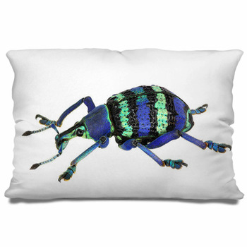 Insect Comforters, Duvets, Sheets & Sets | Custom