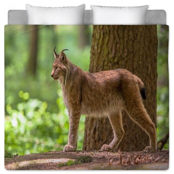 Bobcat Comforters, Duvets, Sheets & Sets | Personalized