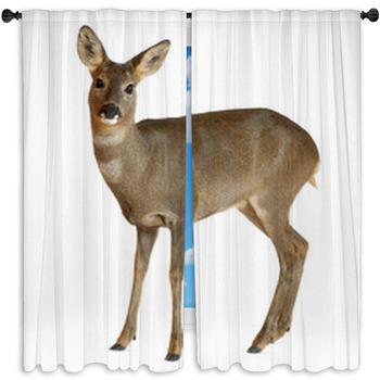 Deer Drapes & Window Treatments | Block Out | Custom Sizes