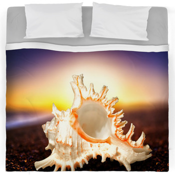 Seashell Bedding | Comforters, Duvet Covers, Sheets & Bed Sets ...
