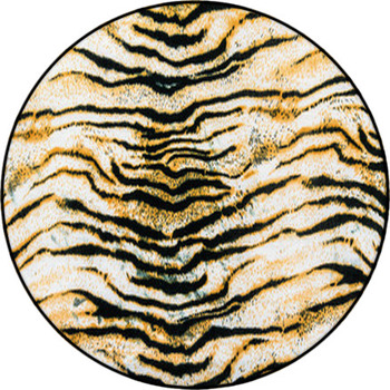 Tiger print Area Rugs & Floor Mats