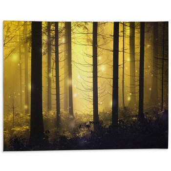 Firefly Area Rugs & Floor Mats