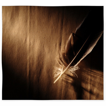 Feather Area Rugs & Custom Size Floor Mats