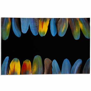 Feather Rugs & Custom Size Floor Mats