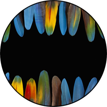 Feather Area Rugs & Custom Size Floor Mats