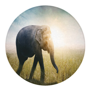 Elephant Area Rugs & Custom Size Floor Mats
