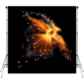 Phoenix Photographer Backdrops | Available in Super Large Custom Sizes