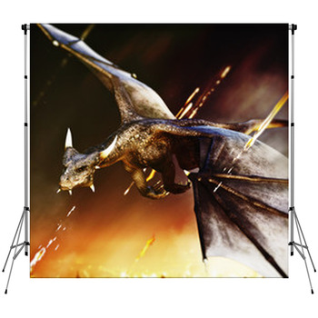 Dragon Photographer Backdrops | Available in Ultra Large Custom Sizes