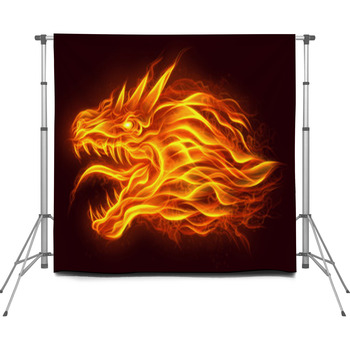 Dragon Photographer Backdrops | Available in Ultra Large Custom Sizes