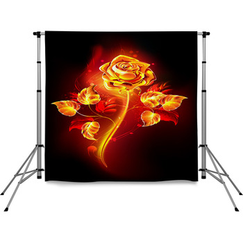 Rose Photographer Backdrops | Available in Very Large Custom Sizes