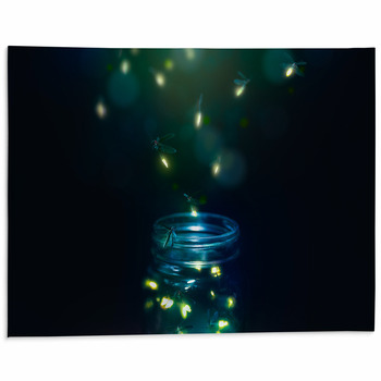 Firefly Area Rugs & Floor Mats