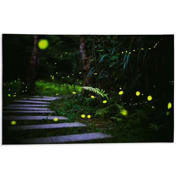 Firefly Area Rugs & Floor Mats