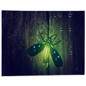 Firefly Area Rugs & Floor Mats