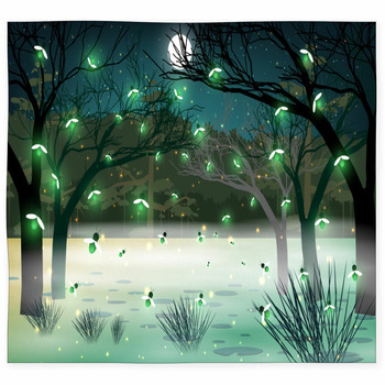 Firefly Area Rugs & Floor Mats