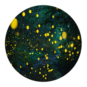 Firefly Area Rugs & Floor Mats