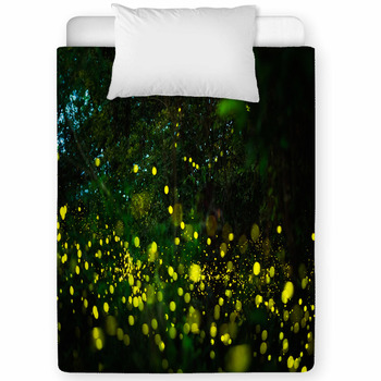 Firefly Baby Blankets, Toddler Bedding | Personalized