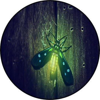 Firefly Area Rugs & Floor Mats