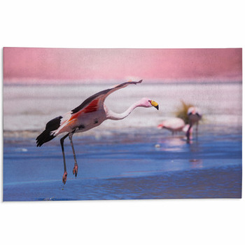 Flamingo Rugs & Custom Size Floor Mats