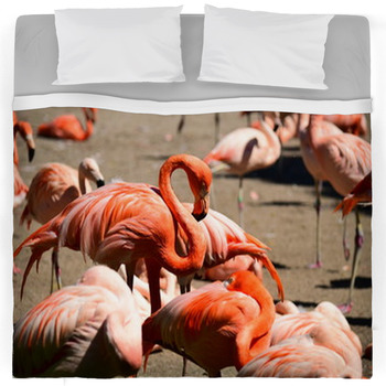 Flamingo Comforters, Duvets, Sheets & Sets | Custom