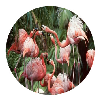 Flamingo Rugs & Custom Size Floor Mats