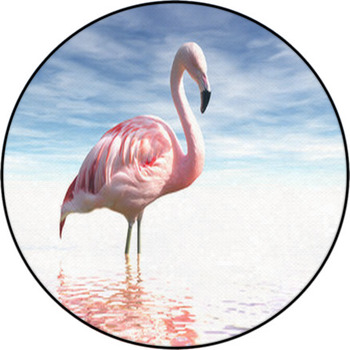 Flamingo Rugs & Custom Size Floor Mats