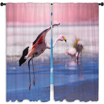 Flamingo Curtains & Drapes | Black Out | Custom Sizes