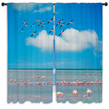 Flamingo Drapes & Window Treatments | Black Out | Custom Sizes