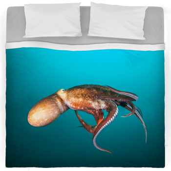 Octopus Comforters, Duvets, Sheets & Sets | Custom