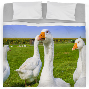 Goose Comforters, Duvets, Sheets & Sets | Custom